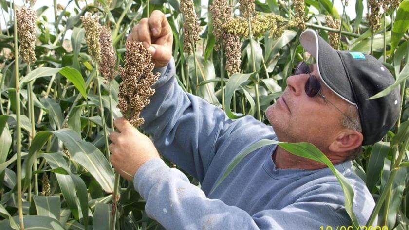 Seed Guides | Southeast AgriSeeds